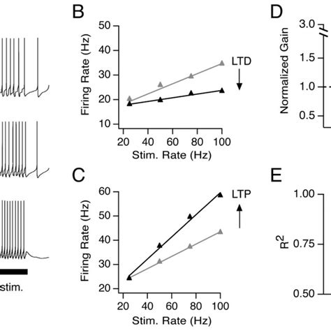 LTD And LTP Control The Gain Of Synaptically Evoked Postsynaptic Download Scientific Diagram