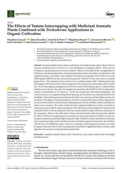 Pdf The Effects Of Tomato Intercropping With Medicinal Aromatic Plants Combined With