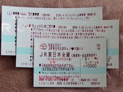 旅せよ平日！jr東日本たびキュン♥️早割パス 時間の翼