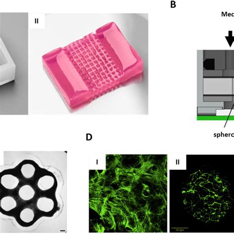 Substrate Modification For Positioning A Agarose 96 Well Microarray