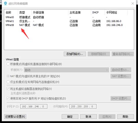 如何让宿主机访问虚拟机内服务器主机访问虚拟机启动的服务 Csdn博客