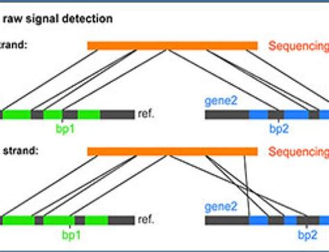 gene expression single nucleotide variant and fusion transcript