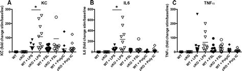 Irf6 Inhibits Cytokine Production In Bone Marrow Derived Macrophages In Download Scientific