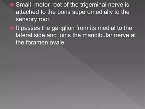 Trigeminal Nerve Ppt Pptx