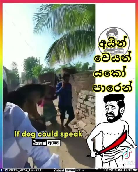 මරු බල්ලෙක් 😂 Youtube