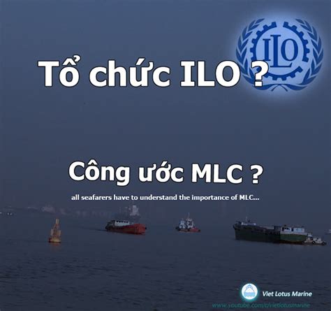 Viet Lotus Marine Hiểu Về Luật Quản Lý An Toàn Quốc Tế Ism Code Vai Trò Của Master Triển