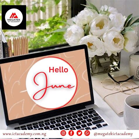 oluwaseun joseph excel master on linkedin learning training development