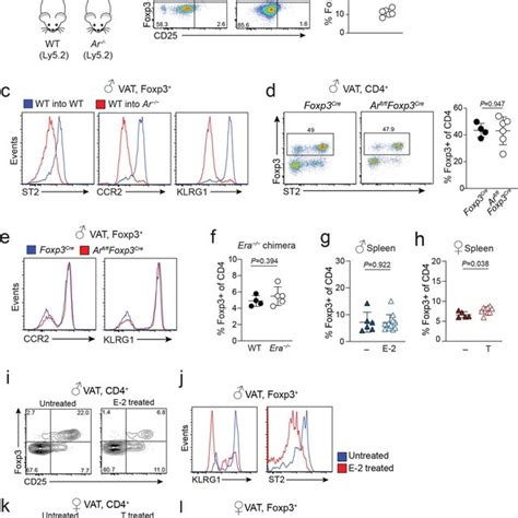Vat Treg Cell Extrinsic Function Of Sex Hormones A Schematic Shows The