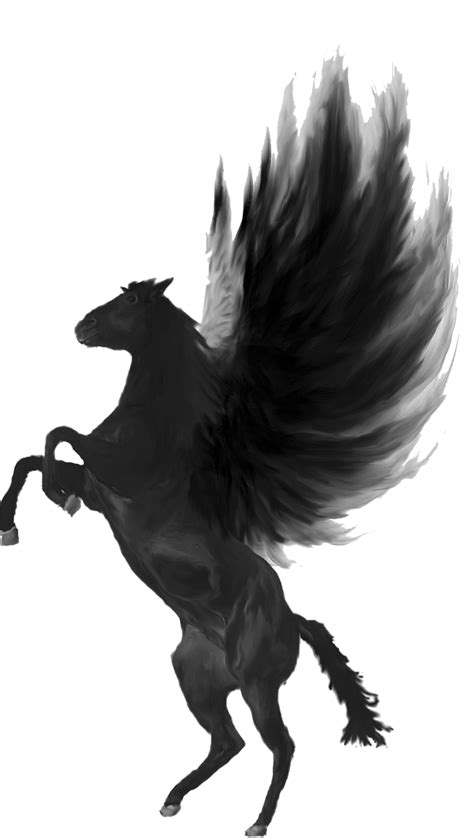 Black Pegasus By Aikouazalea On Deviantart