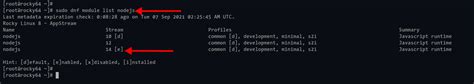 How To Install Nodejs On Rocky Linux 8 4