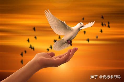 和平解决国际争端原则 知乎