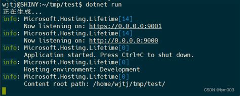 Aspnet Core设置urls的几种方法，完美解决net 6项目局域网ip地址远程无法访问的问题dotnet Urls Csdn博客