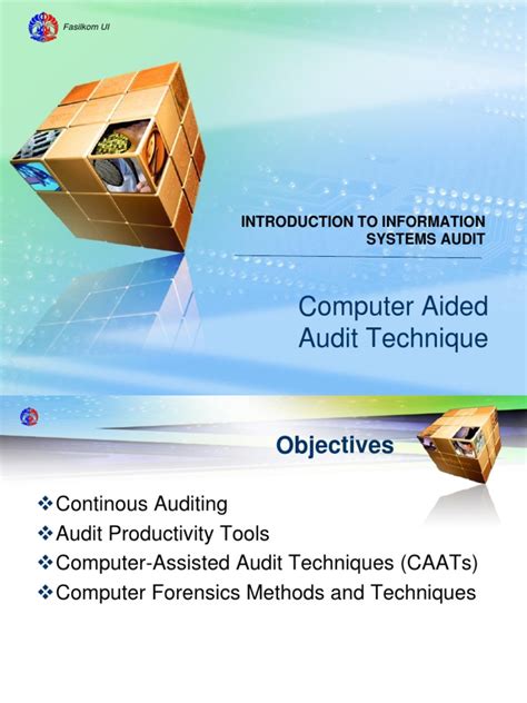 Computer Aided Audit Technique Pdf Data Analysis Audit