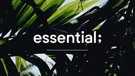 Playlist 세련된 카페 안 나 그리고 커피 And 음악 ☕🍮ㅣcoffee And Music Youtube