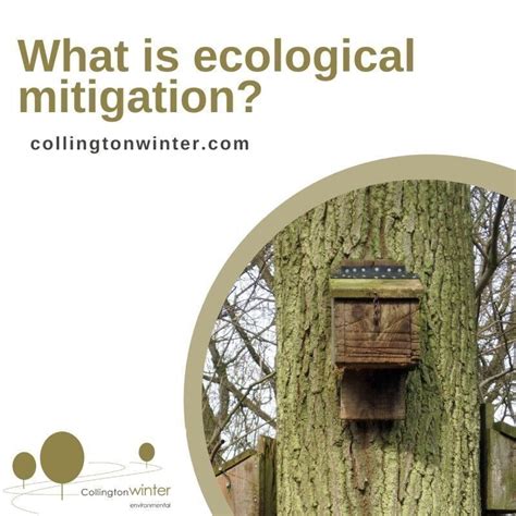 In Ecology Mitigation Is A Method Used To Lessen The Impacts Of A