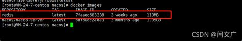 Linux环境中docker安装redislinux 安装redis Docker Csdn博客