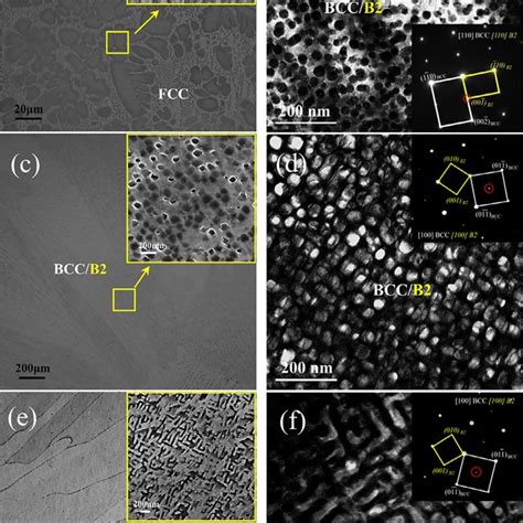 Pdf Phase Field Simulation Of Coherent Bccb2 Microstructures In High Entropy Alloys