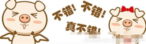 干货 10分钟带你了解apache和tomcat的区别！ apache和tomcat区别 csdn博客