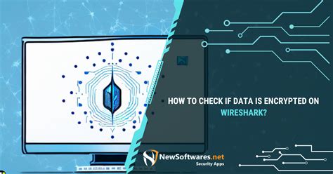 How To Check If Data Is Encrypted On Wireshark Newsoftwares Net Blog