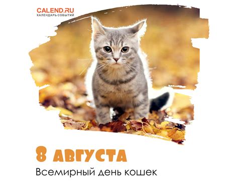 8 августа — Всемирный день кошек Открытка дня Журнал