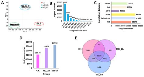 Metabolism And Transcriptome Profiling Provides Insight Into The Genes