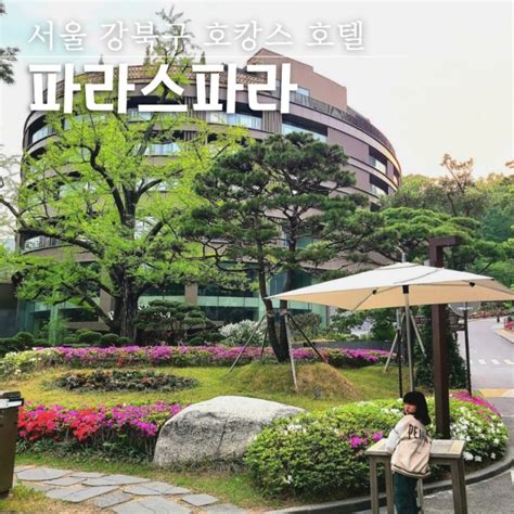 서울 우이동 북한산뷰 파라스파라 최저가 예약 조식 수영장 팀버룸 패키지 호캉스 네이버 블로그