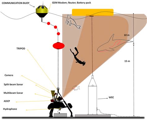 Illustration Of The Proposed Environmental Monitoring Platform Applied