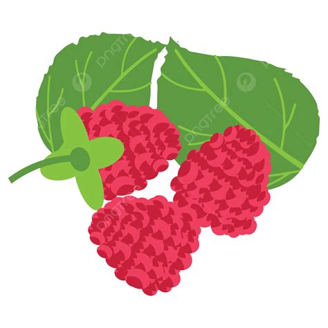 Mastering The Management Of Raspberry Pi Remotely With Remote Iot