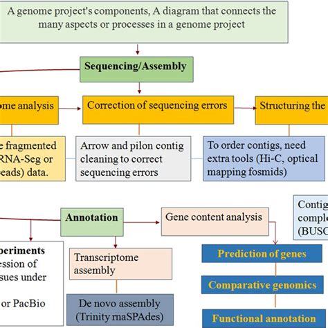 Invasion Biology Genome Projects And Elements Of A Genome Project A