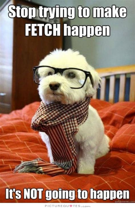 FETCH QUOTES Image Quotes At Relatably Com