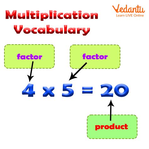 Multiplication Vocabulary List Key Terms And Examples