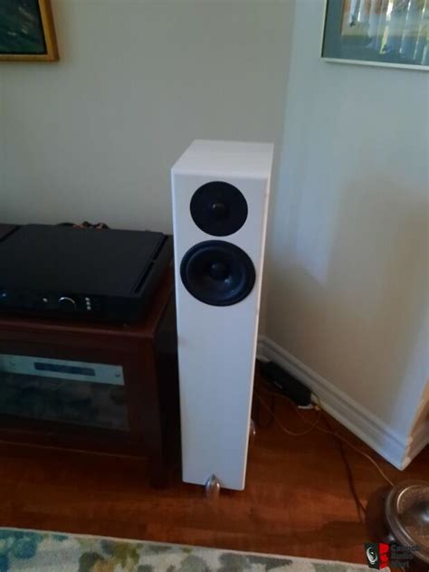 Totem Hawk For Sale Uk Audio Mart