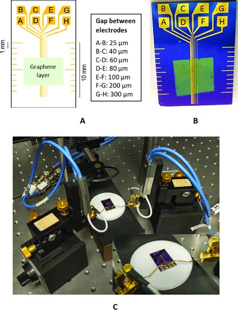 A Design Of The Electrode Structure For The Tlm B Realisation Of