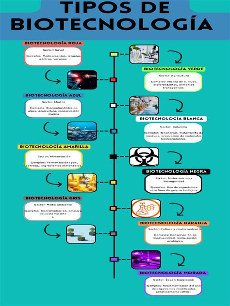 Tipos De Biotecnología 20250318 185050 0000 Pdf