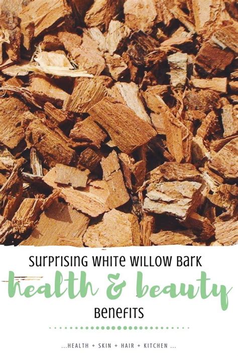 Surprising White Willow Bark Health And Skin Benefits Wild For Nature