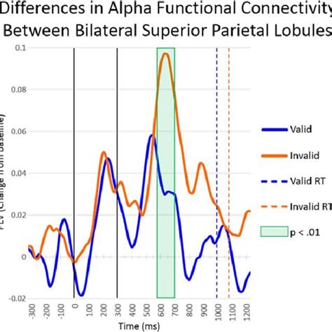 Dynamic Functional Connectivity Between Left And Right Superior