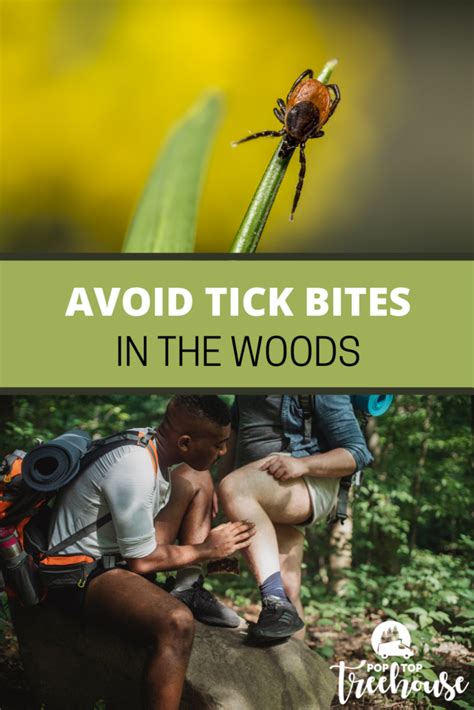Tick Safety How To Avoid Tick Bites In The Woods Poptop Tree House