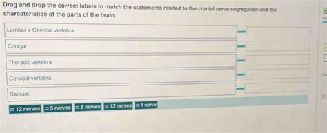 solved drag and drop the correct labels to match the statements