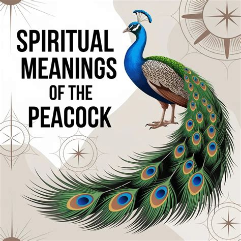 Peacock Symbol Meaning Culture Spirituality And Timeless Symbolism