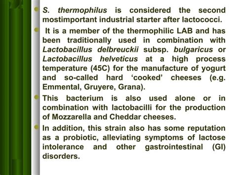 Classification Of Lactic Acid Bacteria Ppt