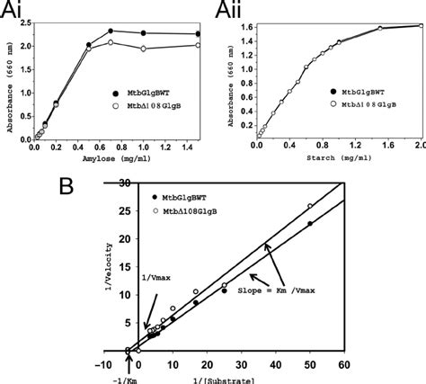 Enzyme Assays And Kinetic Studies A Substrate Utilization Curves For