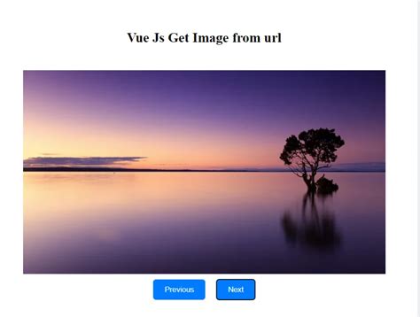 Vue Get Image From Danatec