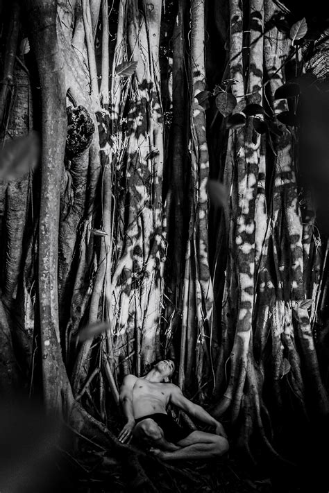 Tree Conected B W On Behance Tree Conected B W On Behance