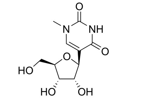 N1 Methylpseudouridine 25 Mg Bright Path Labs
