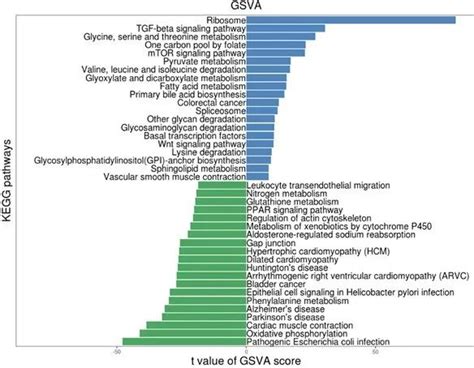 Scrna分析单细胞gsva Limma差异分析 Celltype分组？样本分组？ 阿里云开发者社区
