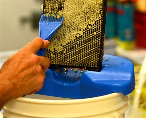 The Ultimate Uncapper Bee Smart Designs Modular Beehive Systems