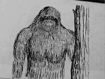 Bigfoot Drawings