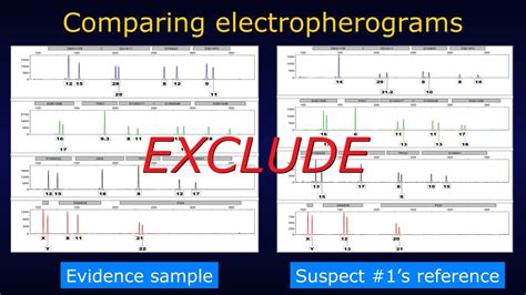 Dnastatistics Lecture Dna Qpcr Lessonsppt