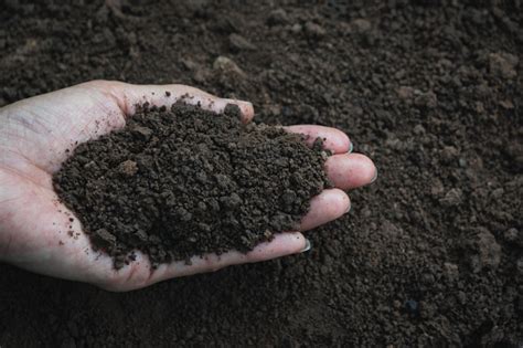 농업에 대 한 풍부한 토양을 들고 또는 복숭아를 재배 하는 사람의 근접 촬영 손 개념에 대한 스톡 사진 및 기타 이미지 개념 개념과 주제 개발 Istock