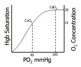 Hemoglobin
